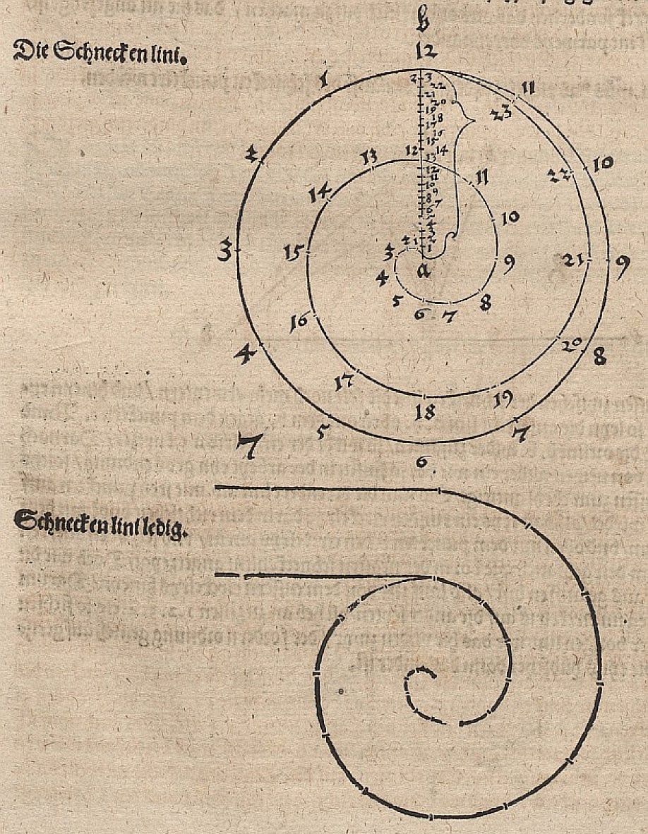 Archimedische Spirale von Albrecht Dürer: Kunstdruck